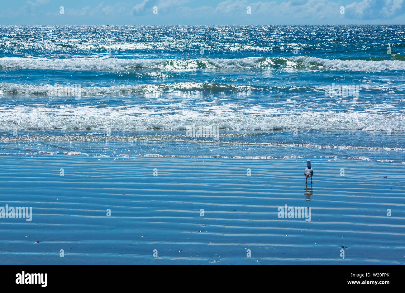 Paternoster Village, West Coast Peninsula, Western Cape province, South ...