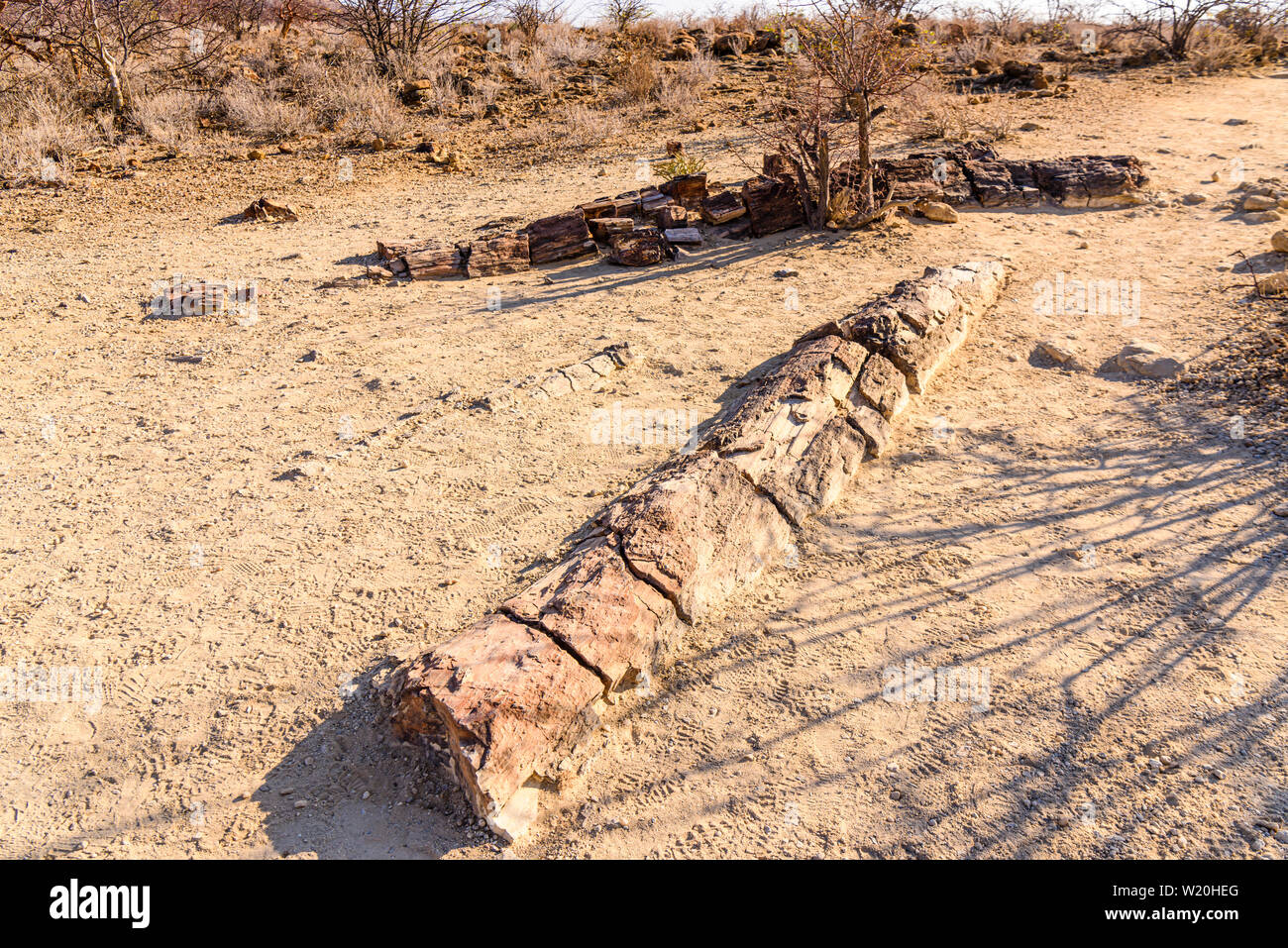 Fossils Sedimentary Rock Stock Photos & Fossils Sedimentary Rock Stock ...