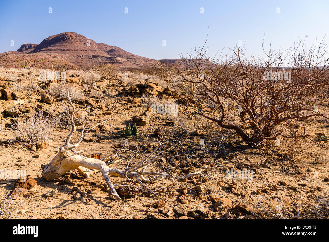 Scrubland Africa High Resolution Stock Photography and Images - Alamy