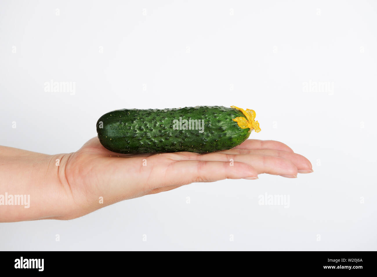 The hand with fresh cucumber with yellow flower on white background ...