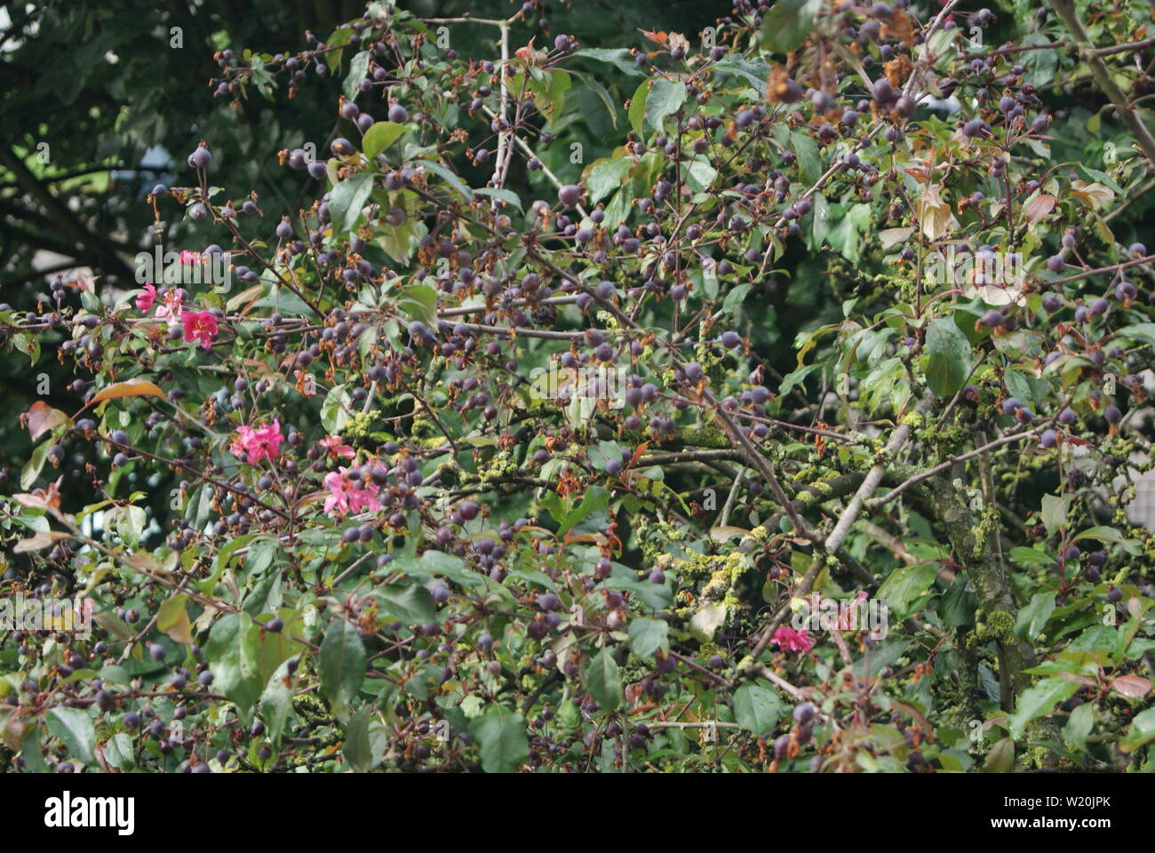 Material. Texture. Trend Stock Photo - Alamy