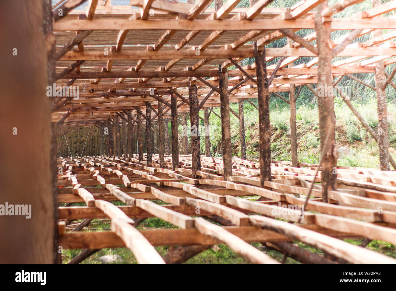 Wood skeleton building house hi-res stock photography and images - Alamy