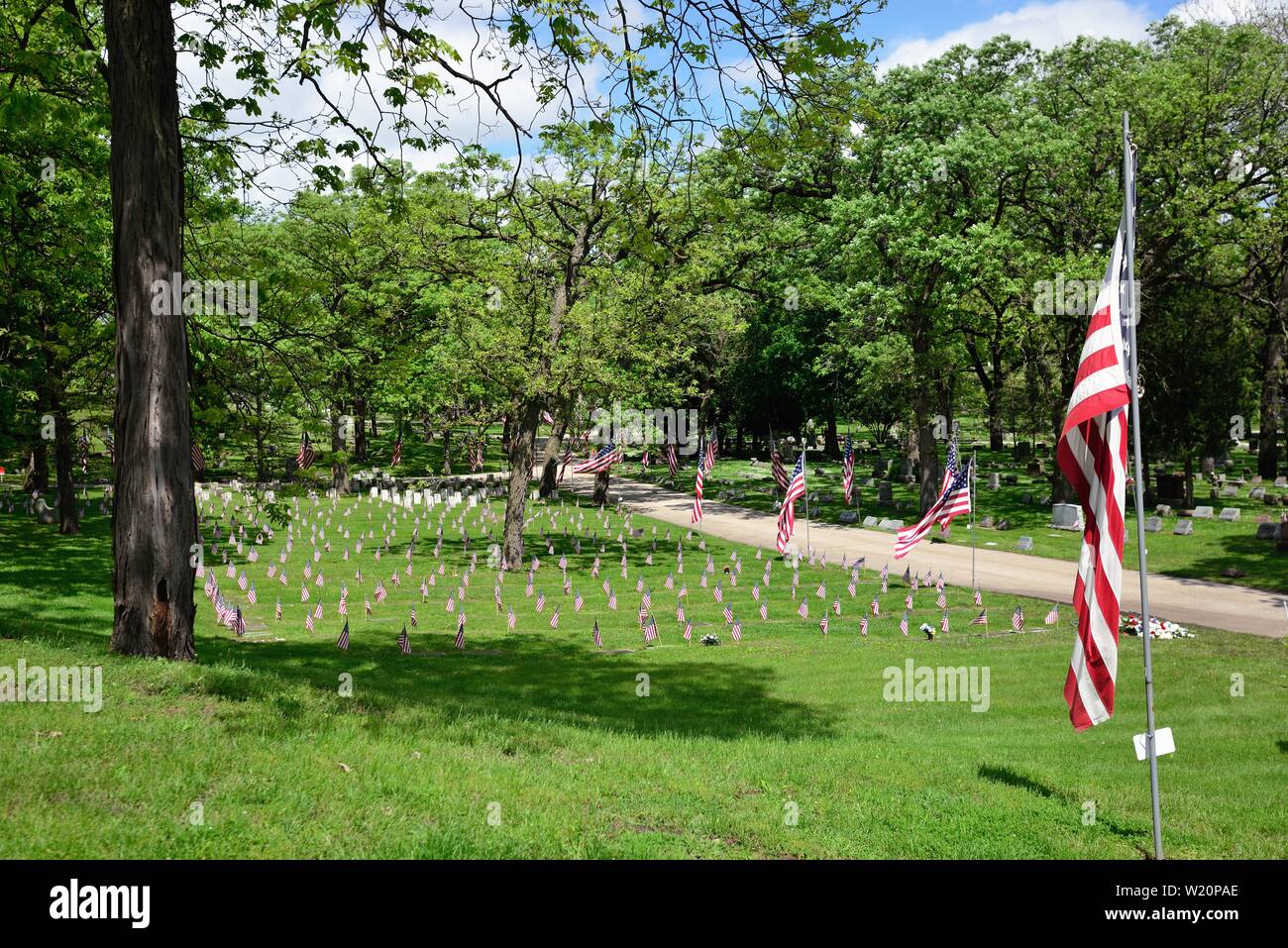 Elgin, Illinois, USA. American flags line roadways at a cemetery where ...