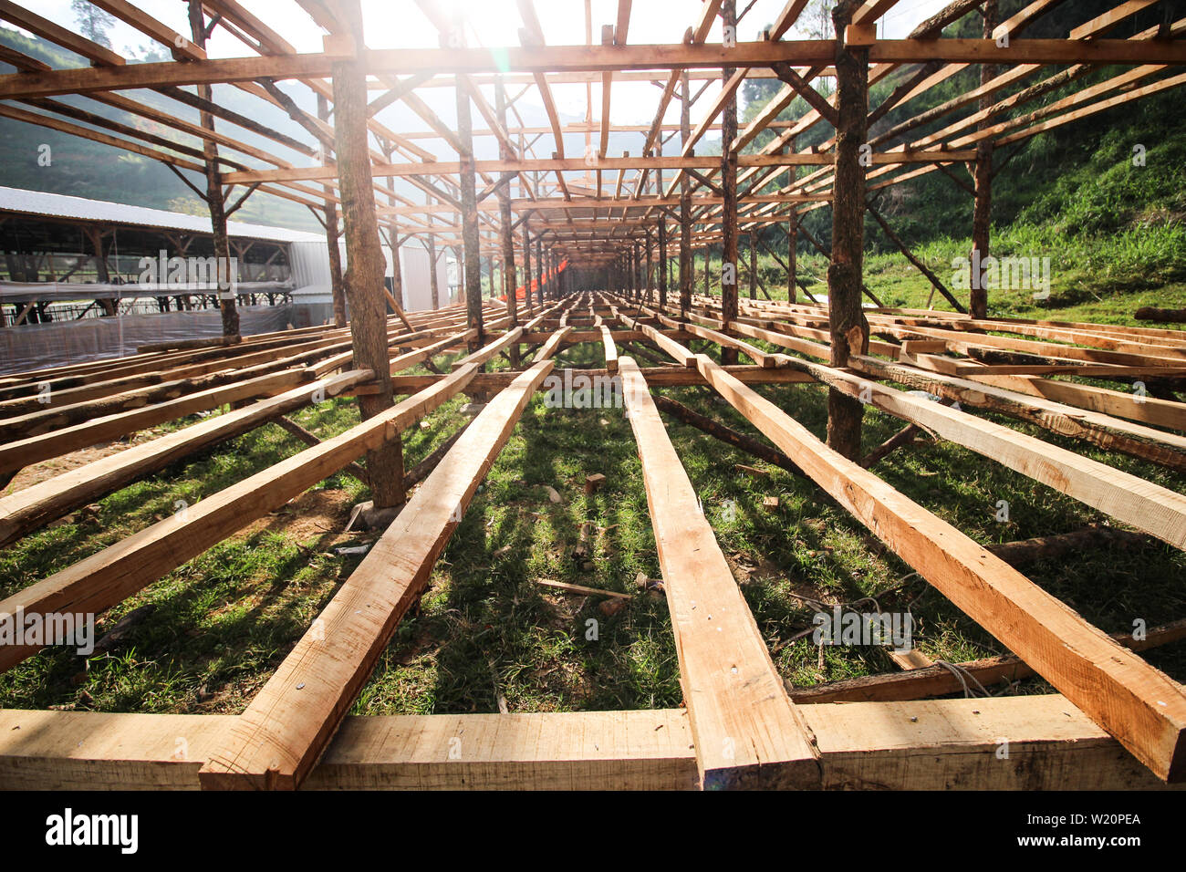 Building skeleton hi-res stock photography and images - Alamy