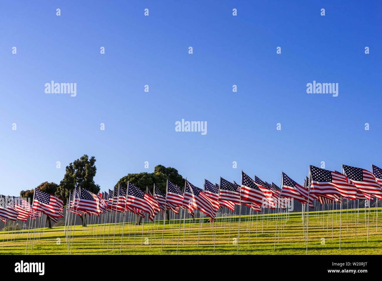 Field american flags hi-res stock photography and images - Alamy