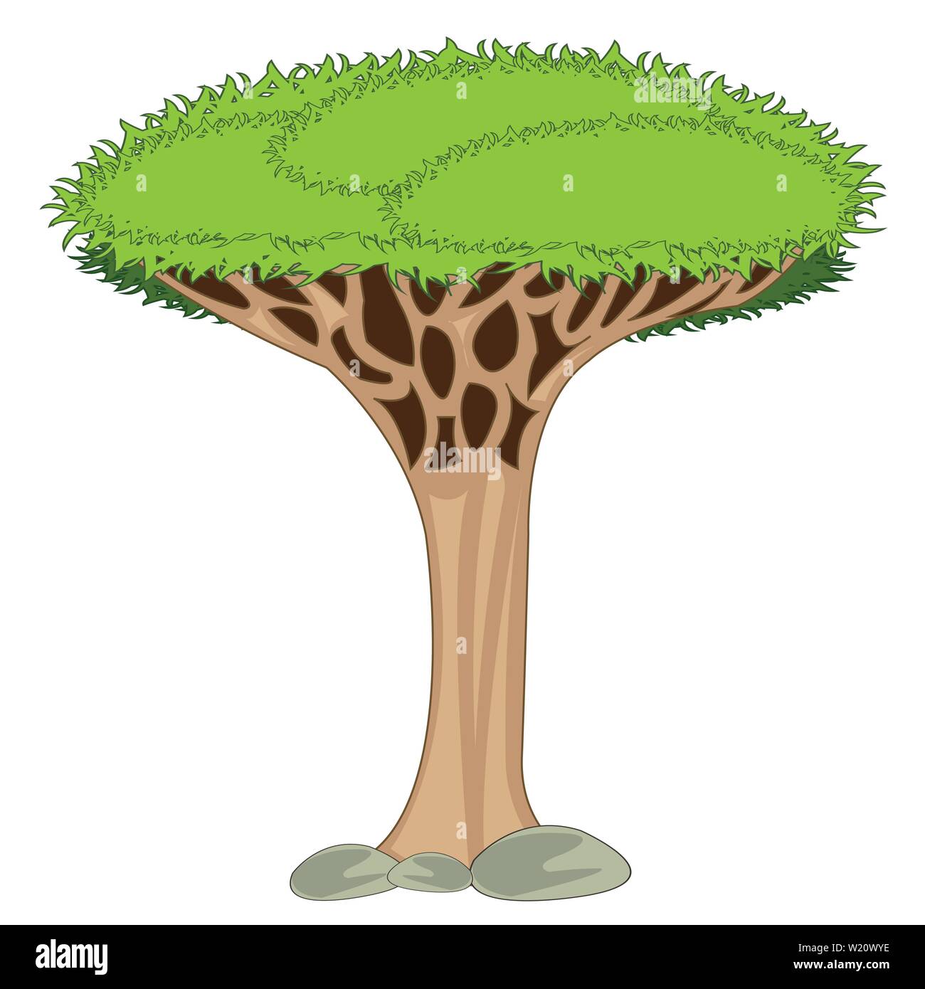Vector illustration exotic dragon tree of the unique type Stock Vector ...