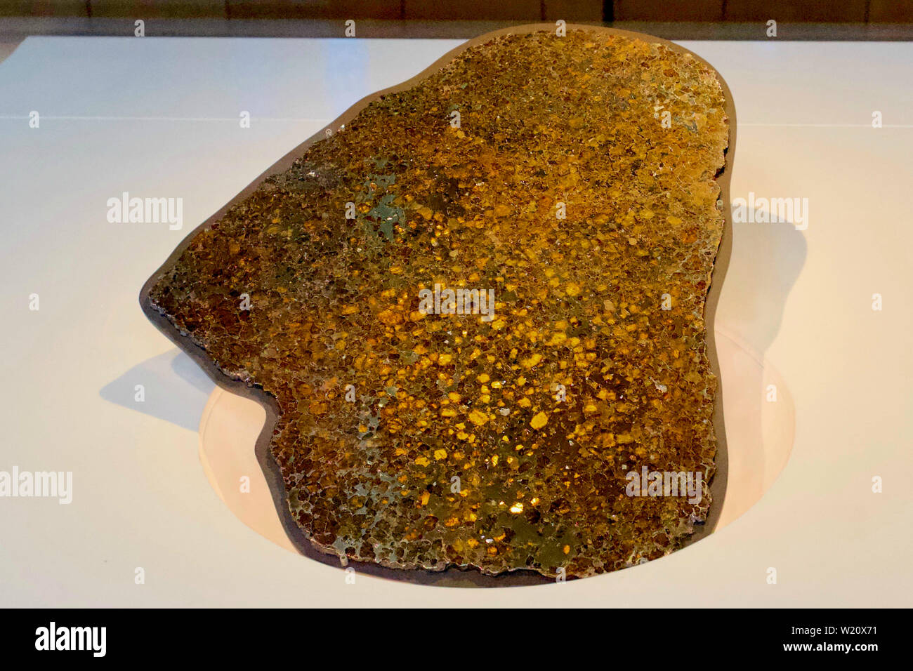 Natural History Museum, Cromwell Road, South Kensington, Royal Borough ...