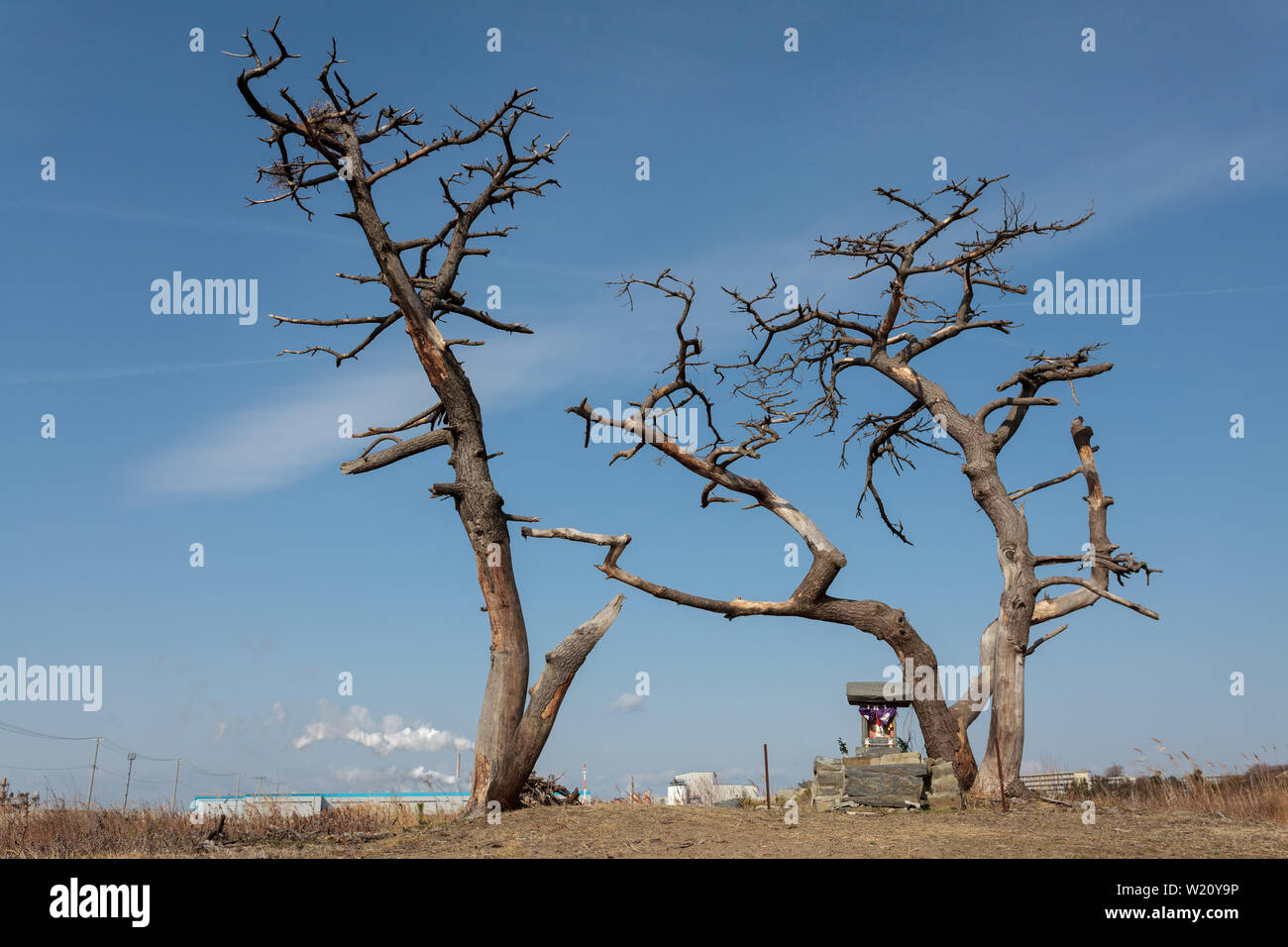 Japan Earthquake High Resolution Stock Photography and Images - Alamy