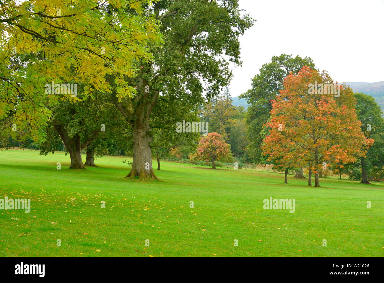 travel in Arab Stock Photo - Alamy