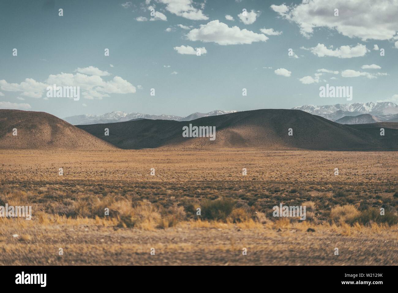 Beautiful wide shot dry grass hi-res stock photography and images - Alamy