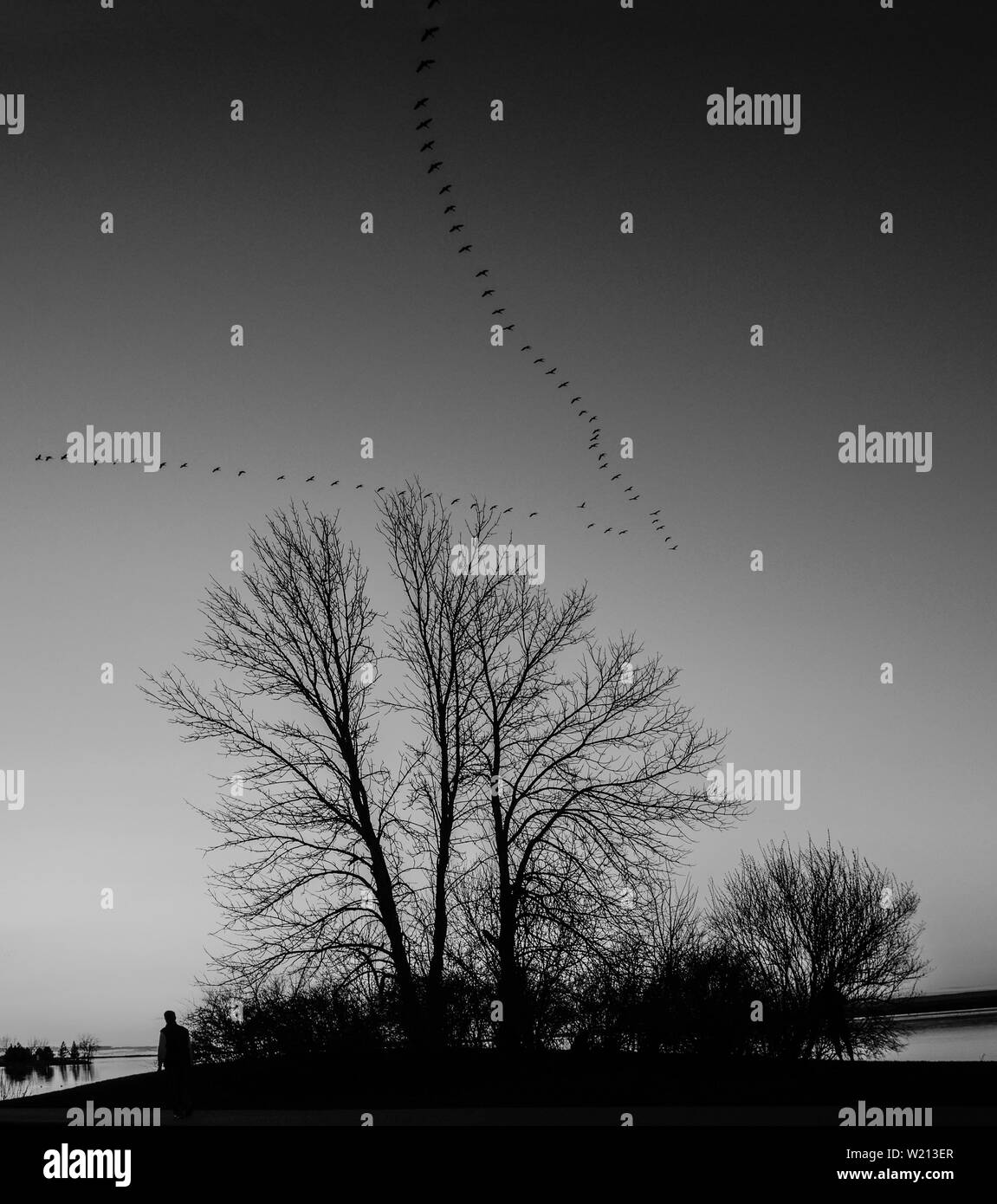 Shot beautiful park in Black and White Stock Photos & Images - Alamy