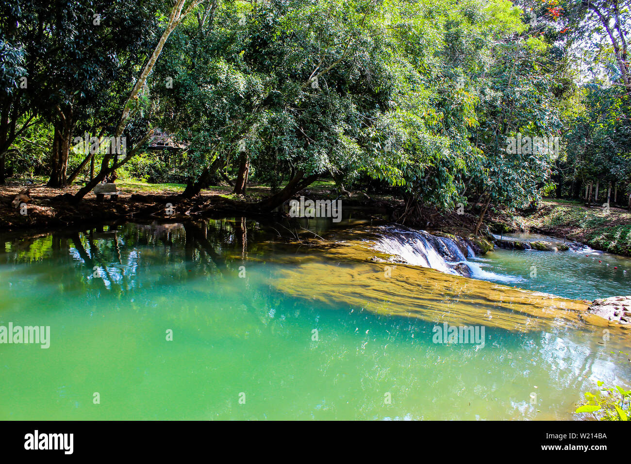 The water in the stream is green and bright green tree at Kapo ...