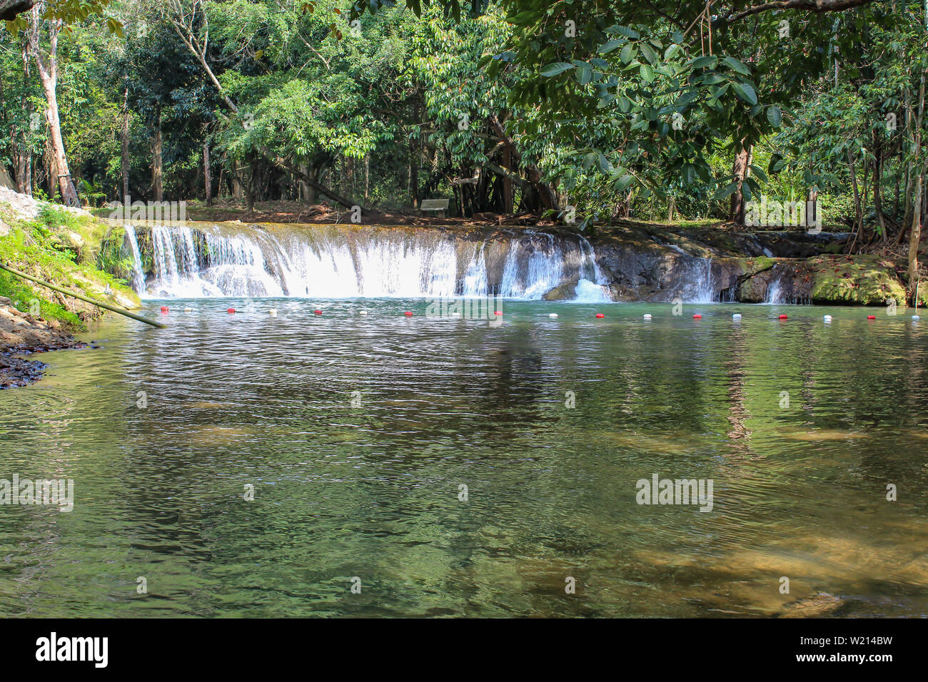 The water in the stream is green and bright green tree at Kapo ...