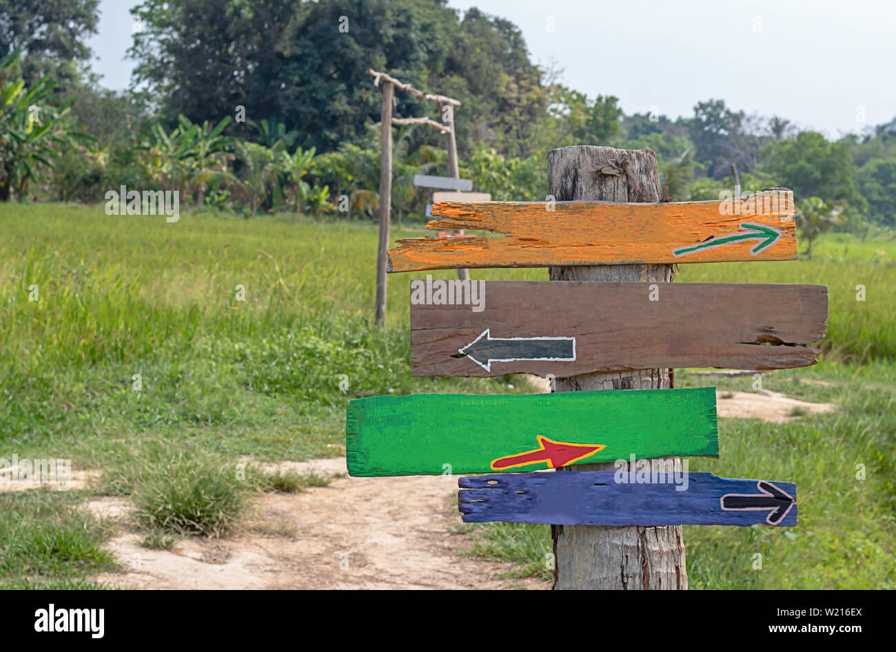 Letters on trees hi-res stock photography and images - Alamy