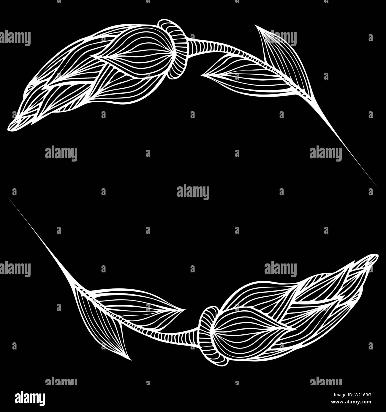 Abstract hand drawn of two rose flowers isolated on black background ...