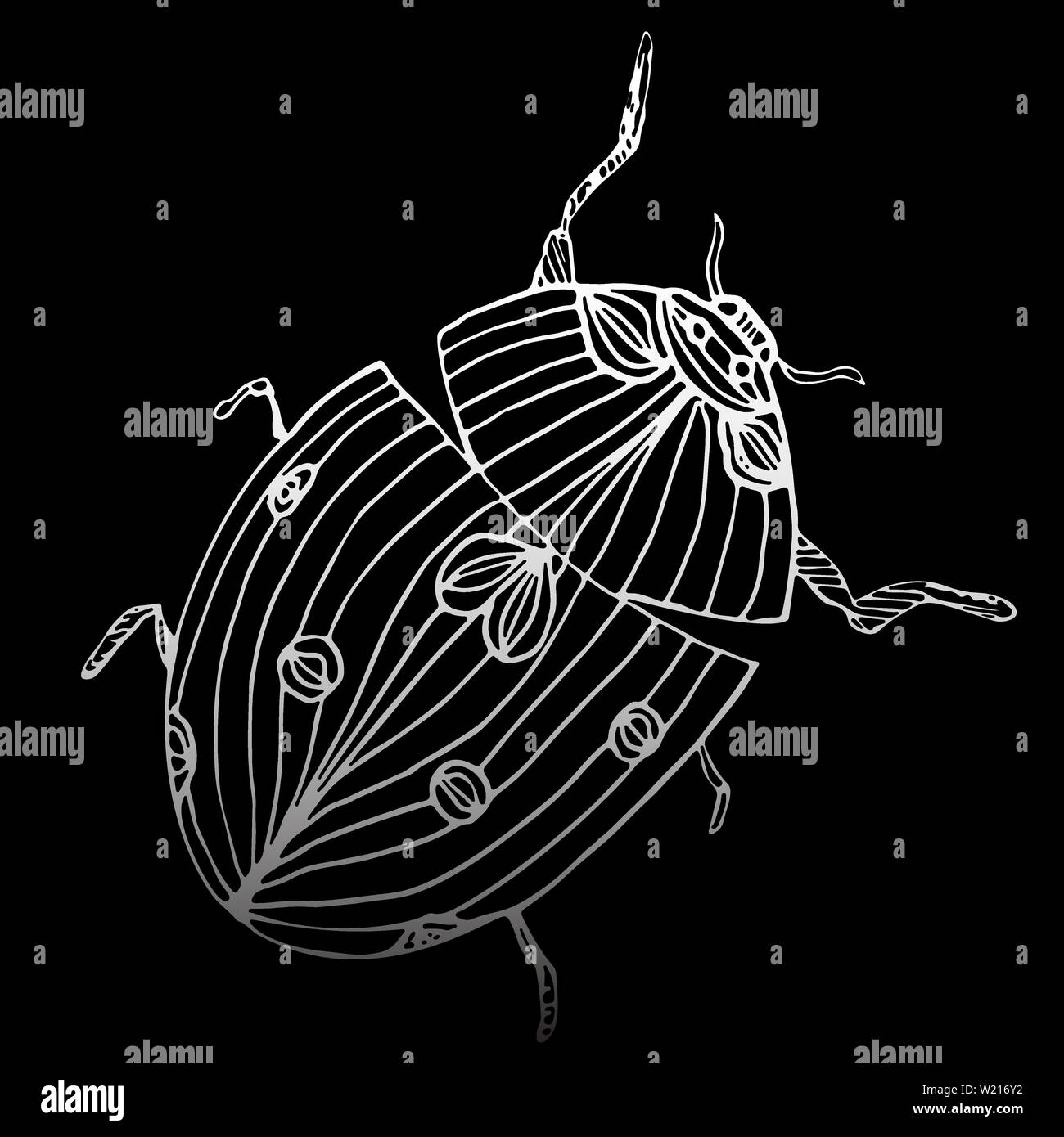 Ladybug drawing hi-res stock photography and images - Alamy