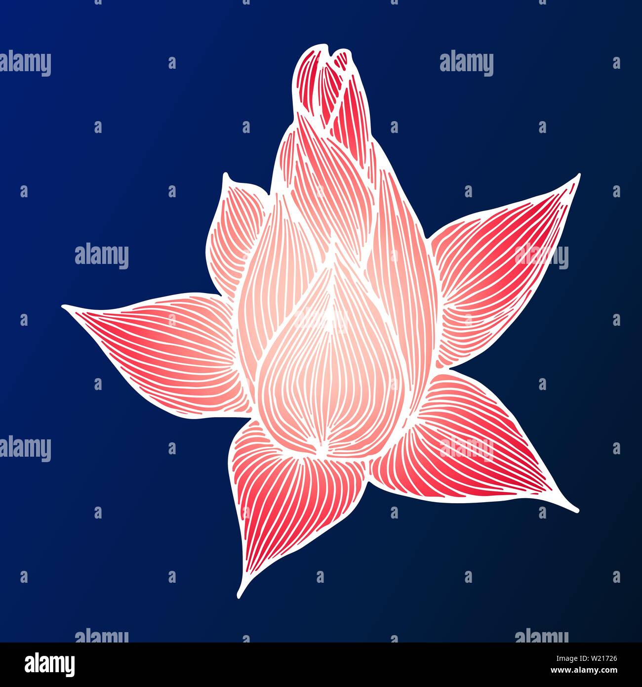 Abstract hand drawn lotus flower. Vector illustration. Outline sketch ...