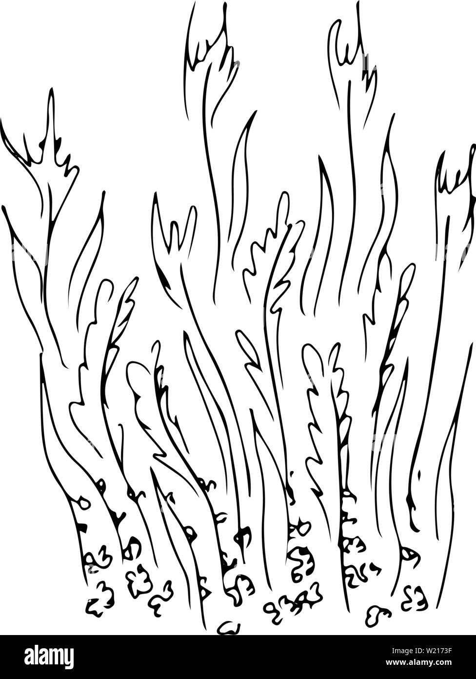 Abstract hand drawn rice isolated on white background. Rice vector ...