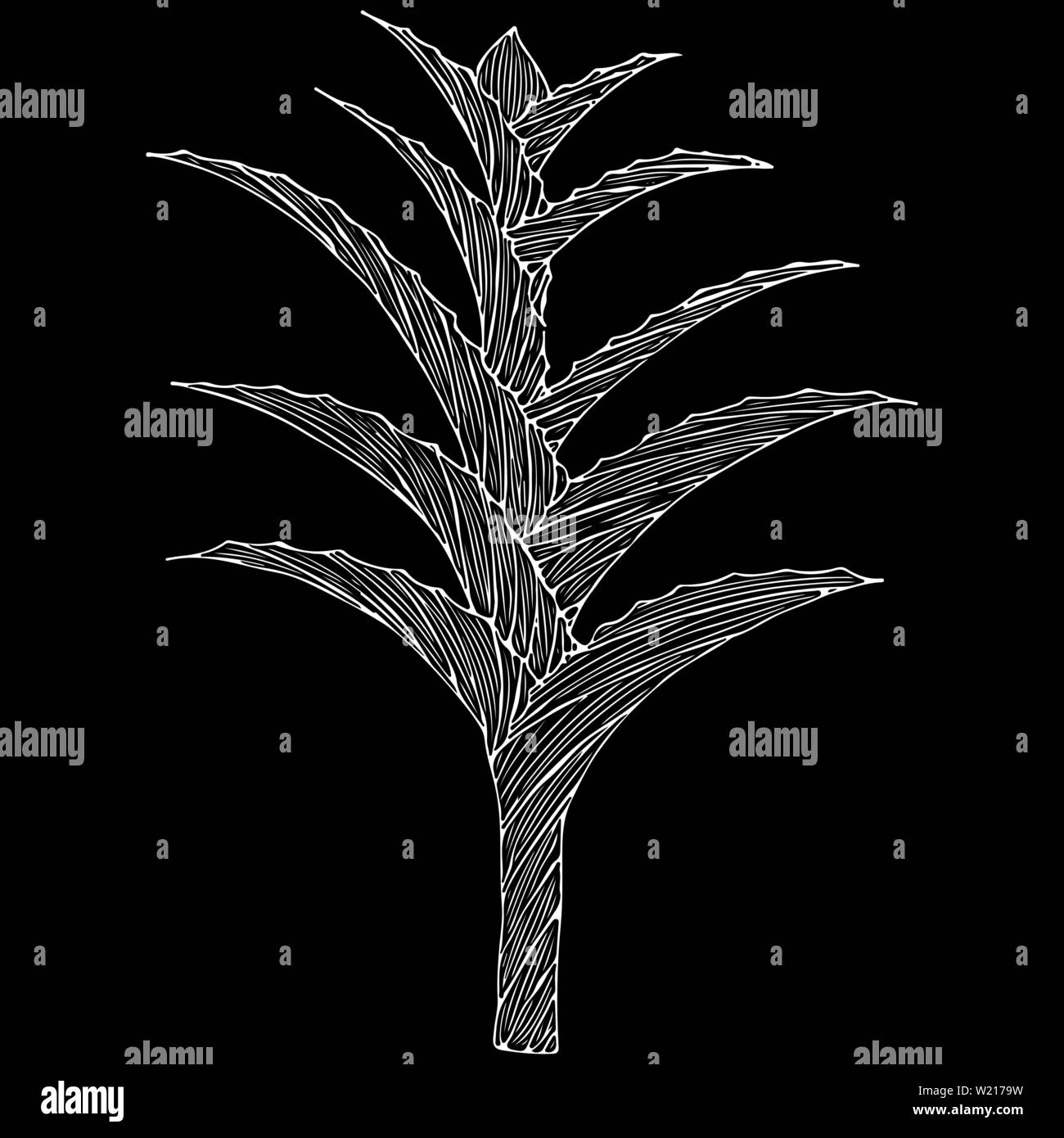 Drop green cosmetic oil Black and White Stock Photos & Images - Alamy