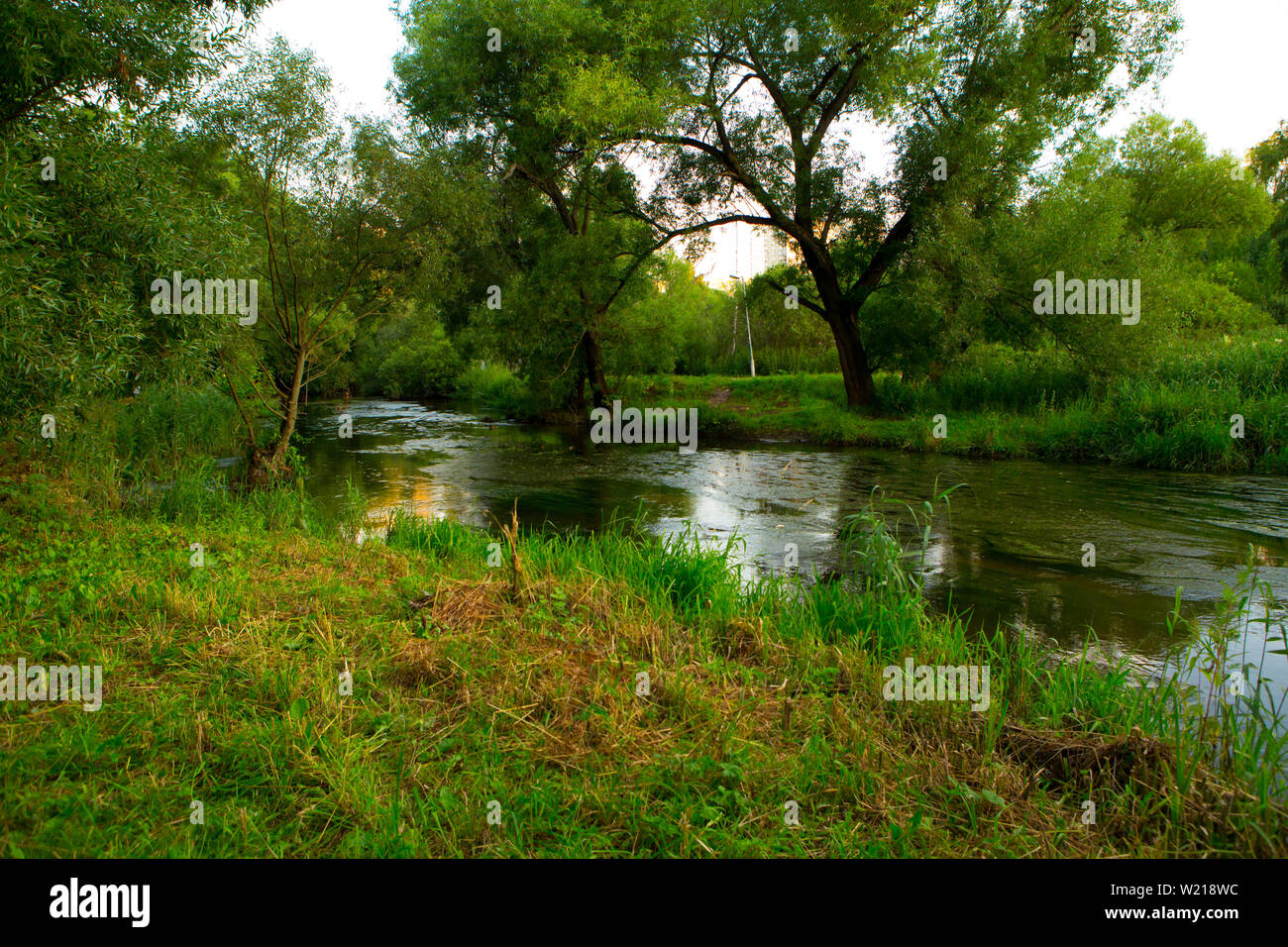 Summer river landscape in the forest Stock Photo - Alamy
