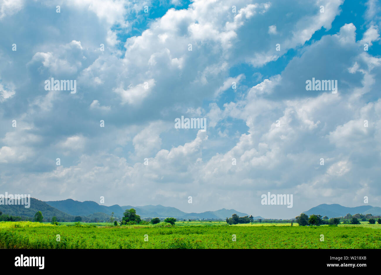Beautiful scene green mountain hi-res stock photography and images - Alamy