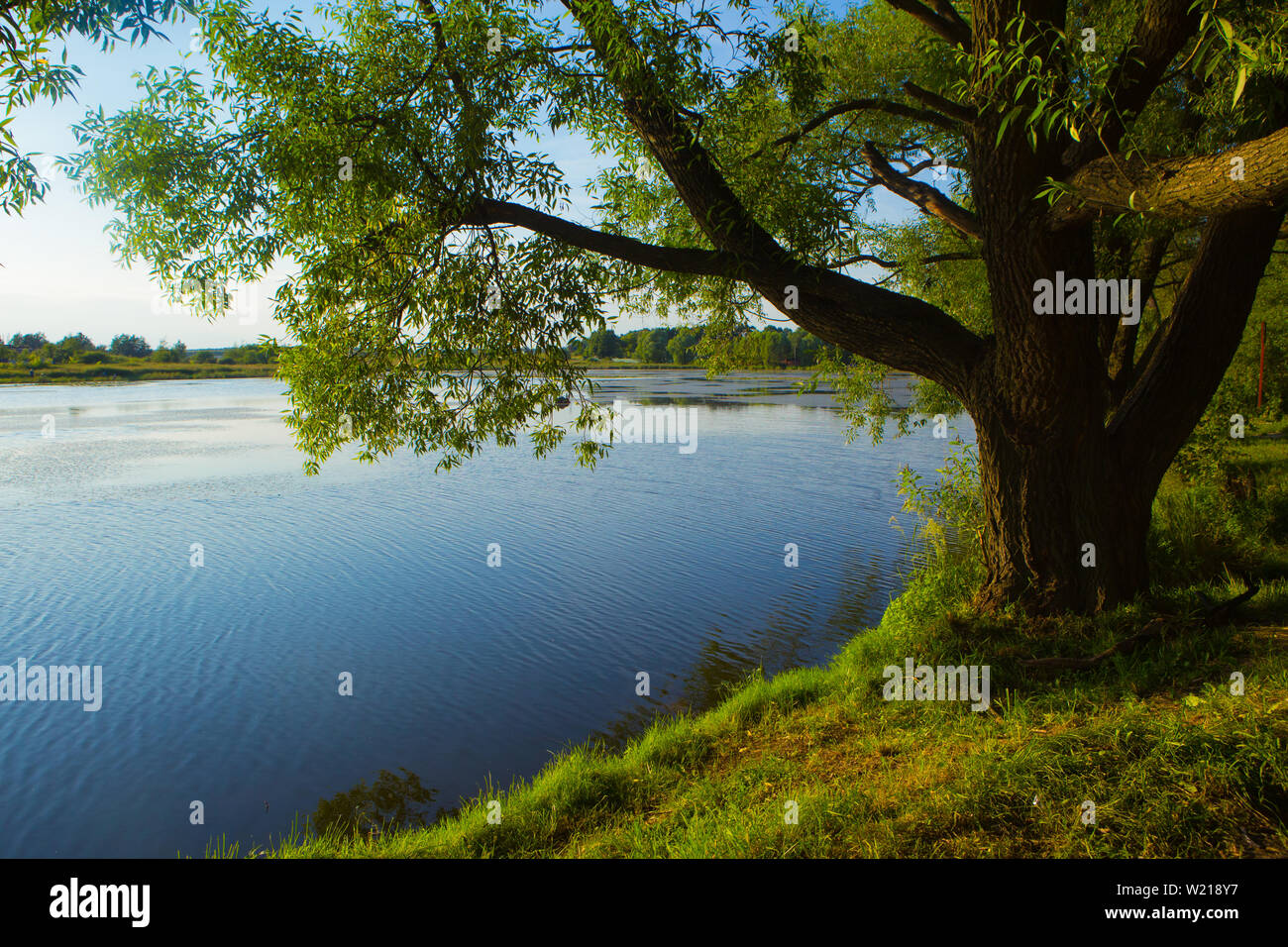 Summer river landscape in the forest Stock Photo - Alamy