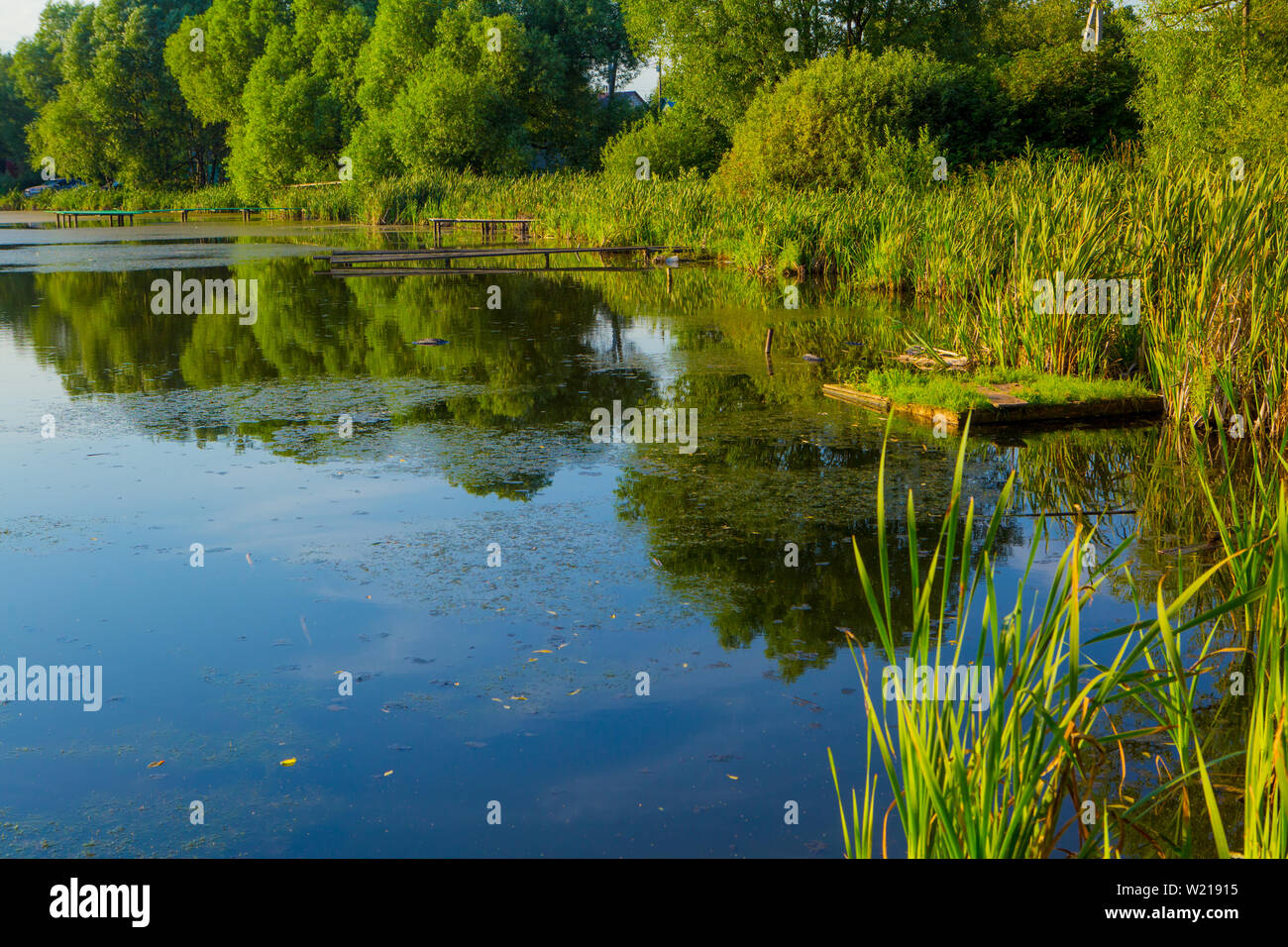 Summer river landscape in the forest Stock Photo - Alamy