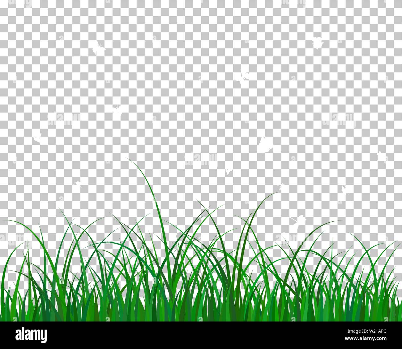 Summer meadow background. EPS 10 vector illustration without ...