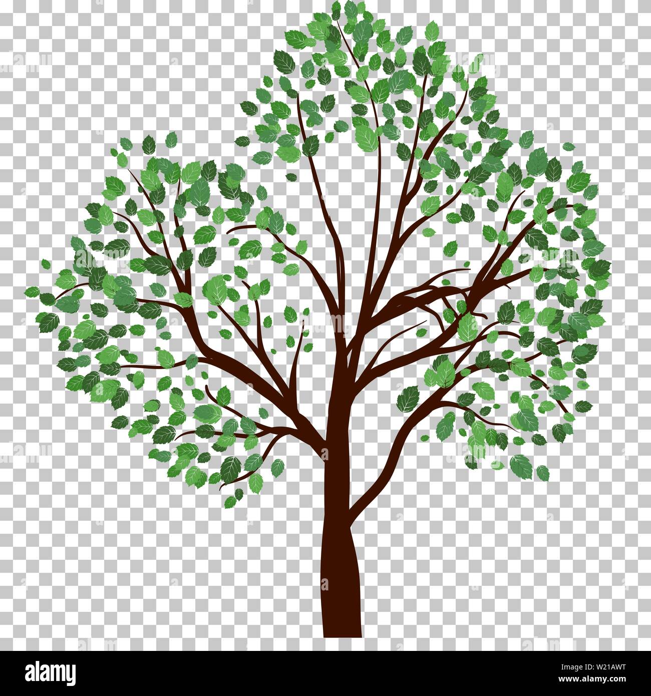Clip Art Summer Tree