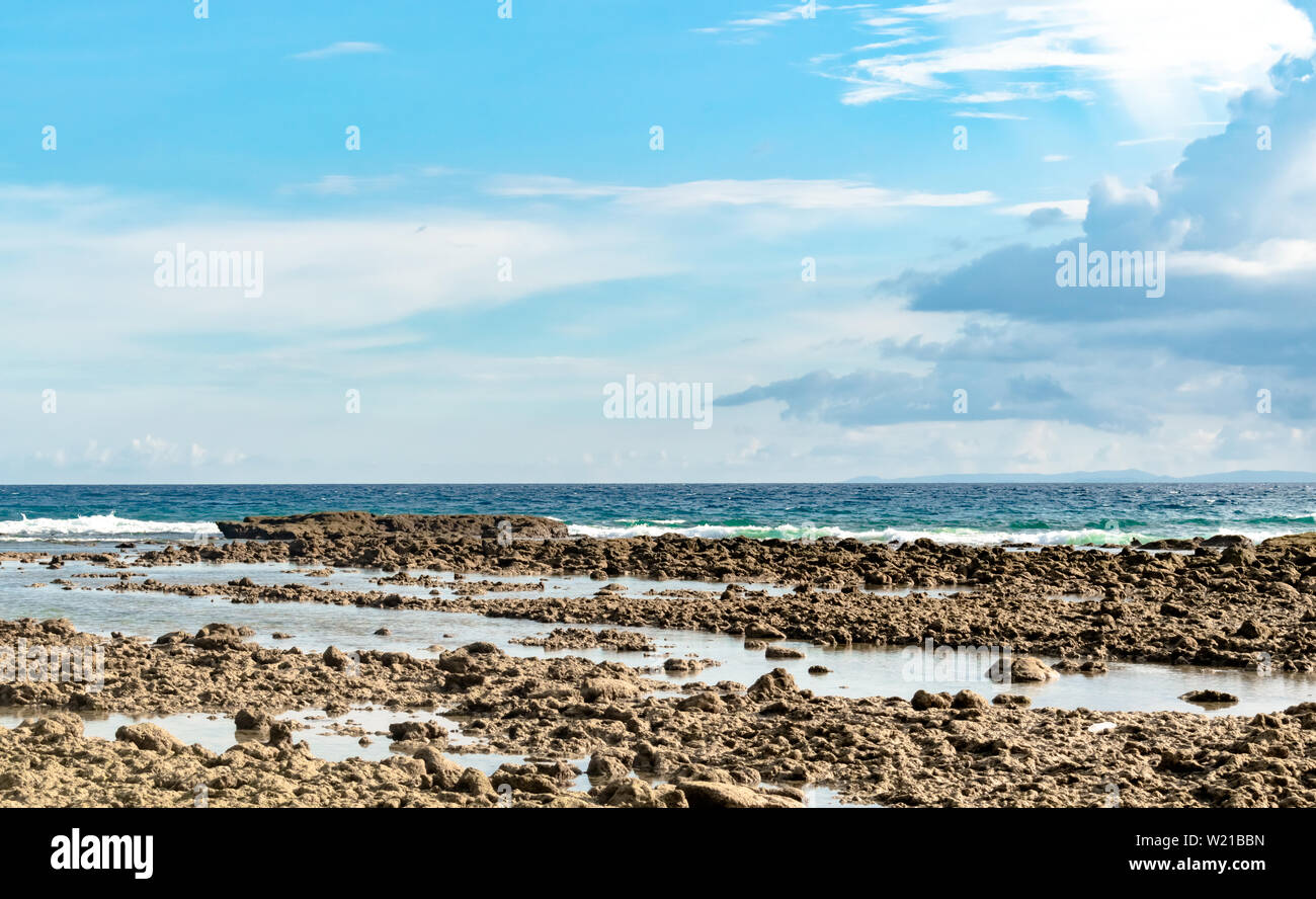 Untouched ecosystem hi-res stock photography and images - Alamy