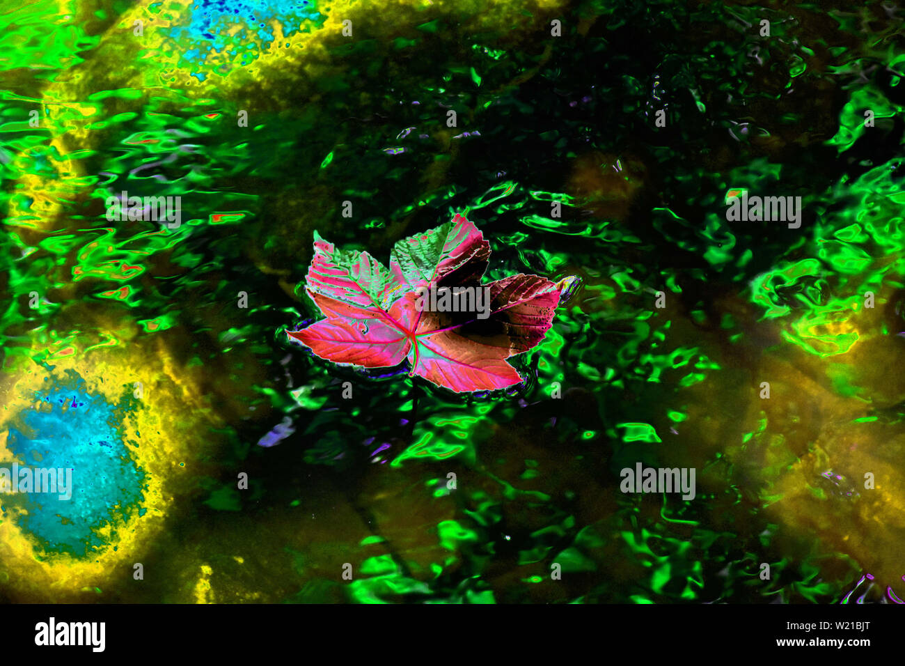 Solarized hi-res stock photography and images - Alamy