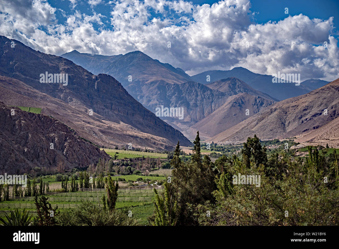 Oase wüste hi-res stock photography and images - Alamy