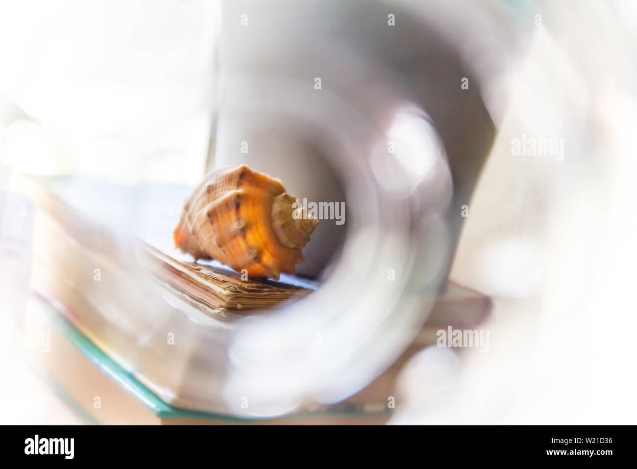 A large sea shell lies on a stack of old books on a light background in ...