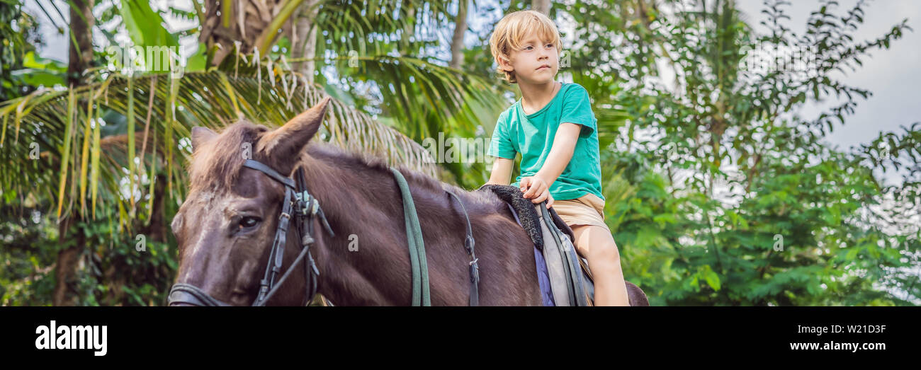 Boy horseback riding, performing exercises on horseback BANNER, LONG ...