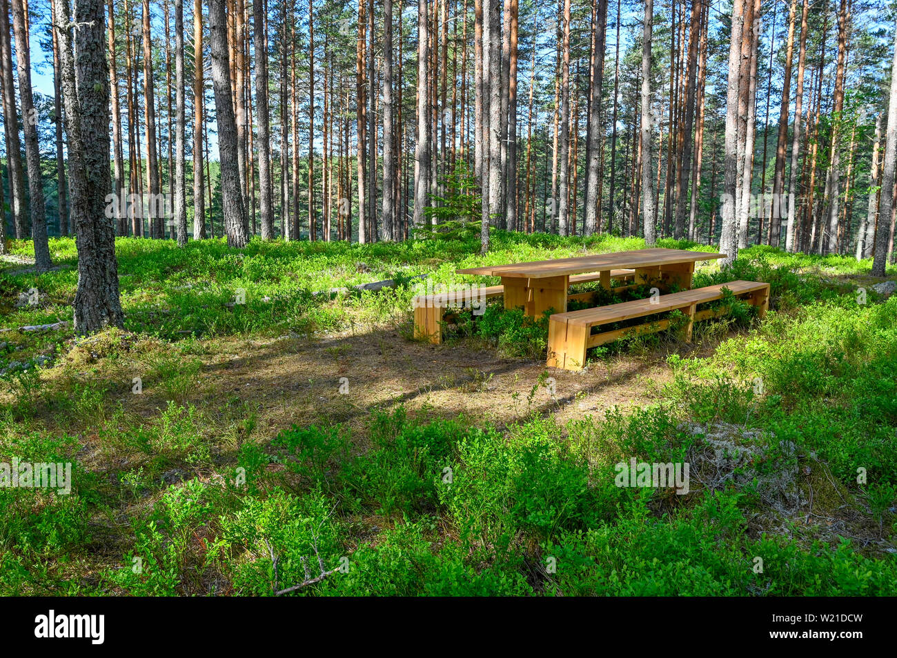 resting area table and bench in a Swedish forest Stock Photo - Alamy