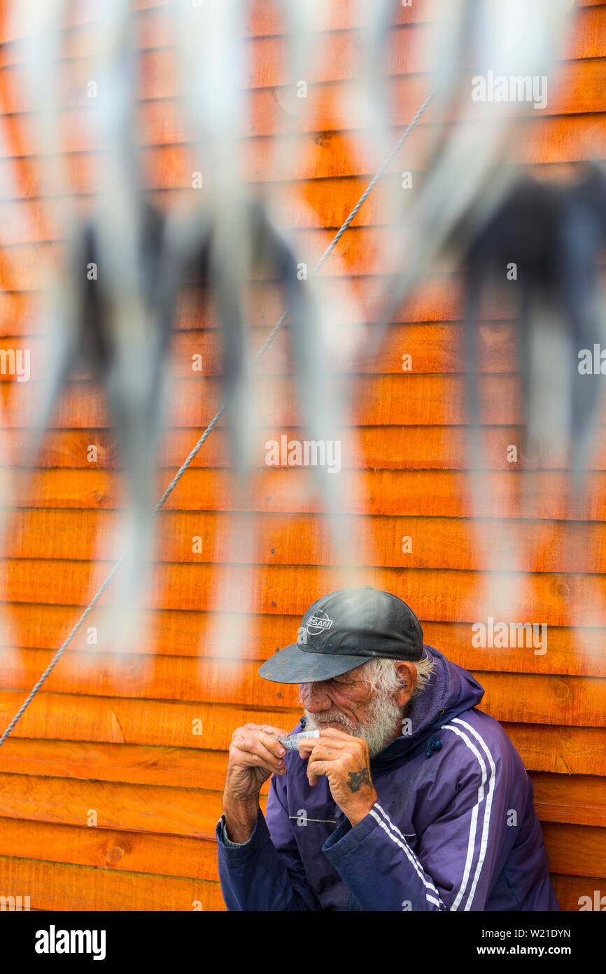 Bokkom fishes, Velddrif Village, Berg River, West Coast Peninsula ...
