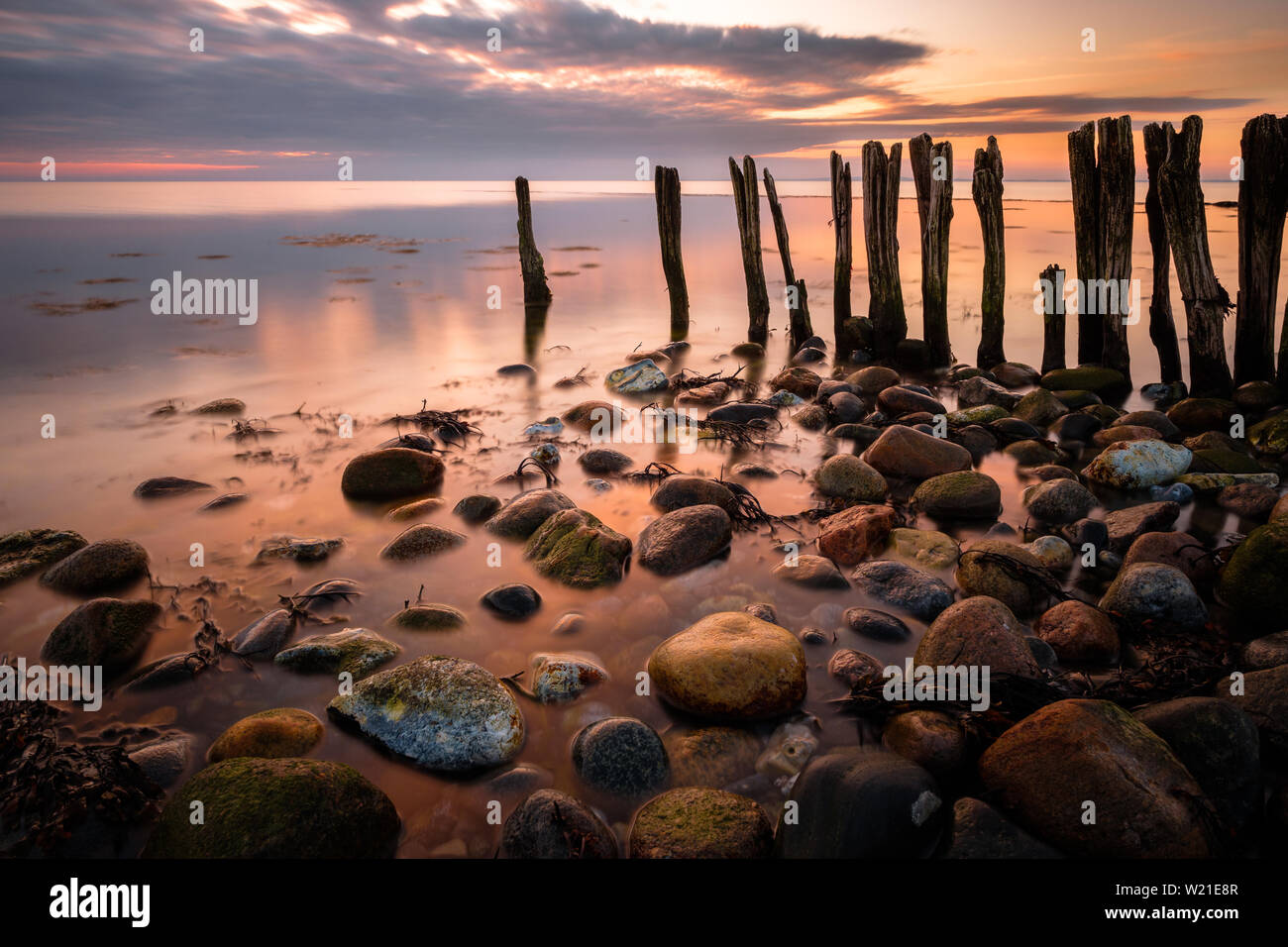 Old poles of jetty at stony beach at warm and orange sunrise ...