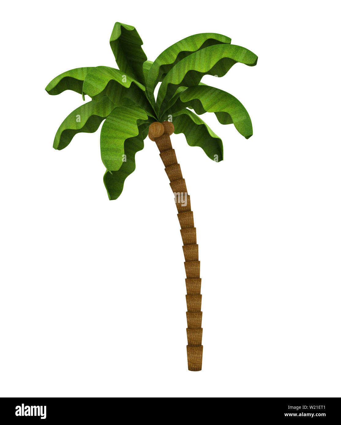 Coconut Tree Isolated Stock Photo - Alamy