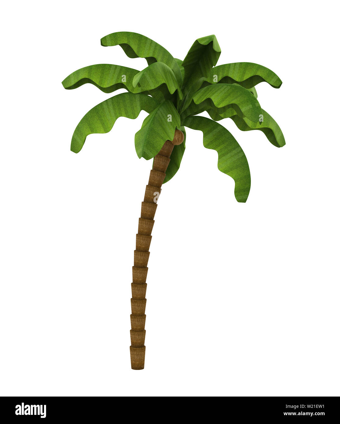 Coconut Tree Isolated Stock Photo - Alamy