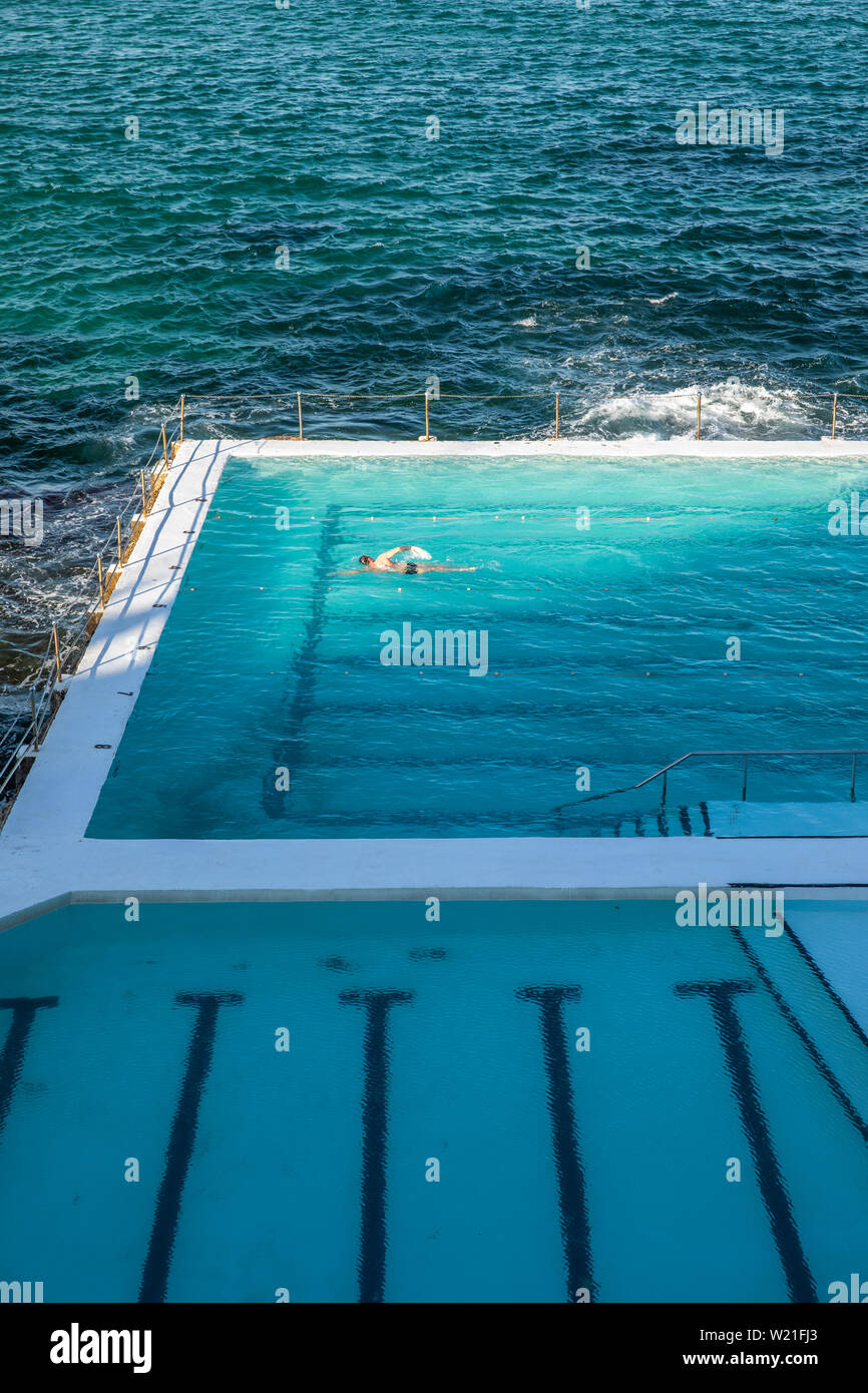 Swimmer in water pool athlete hi-res stock photography and images - Alamy