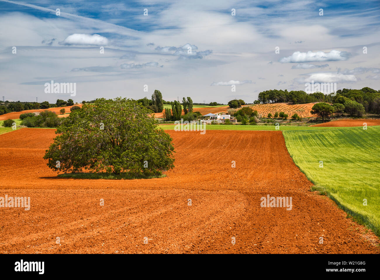 Meseta plateau hi-res stock photography and images - Alamy