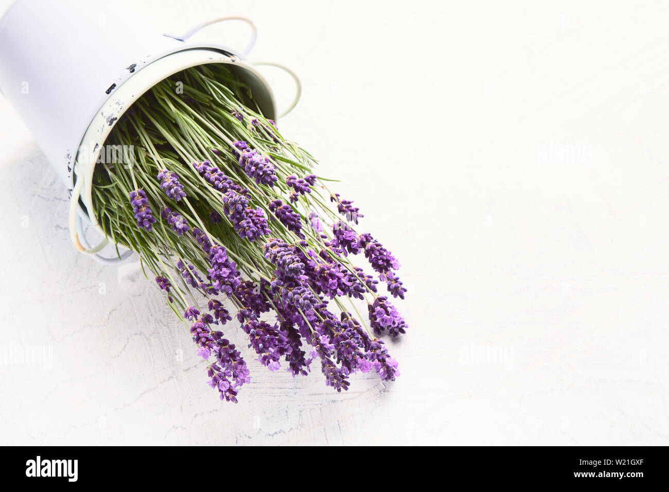 Lavender flowers, bouquet in bucket. Top view with copy space Stock ...