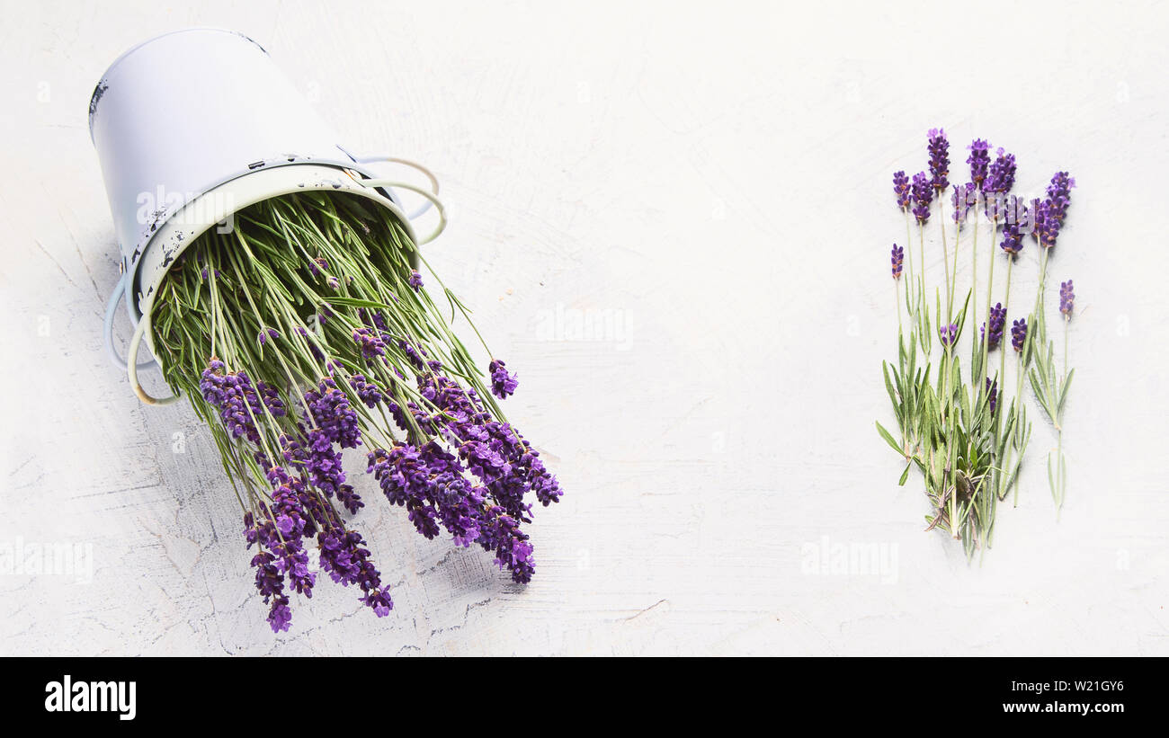 Lavender flowers, bouquet in bucket. Top view with copy space Stock ...