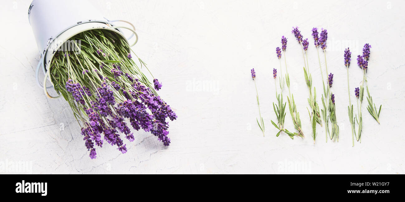 Lavender flowers, bouquet in bucket. Top view. Panorama, banner Stock ...
