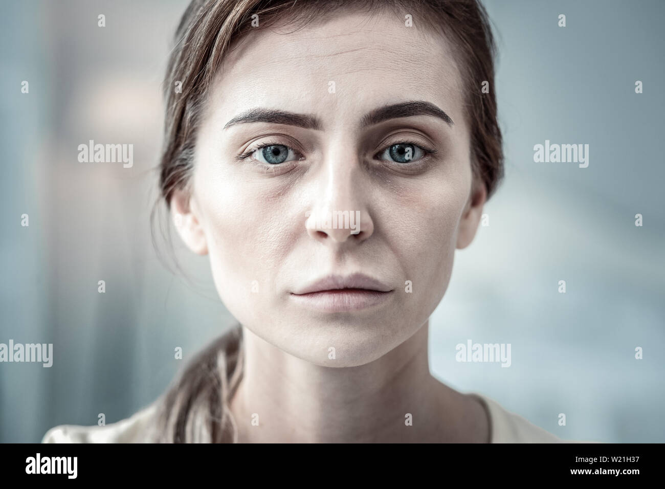 Green eyes. Attentive brunette looking straight at camera, having ...