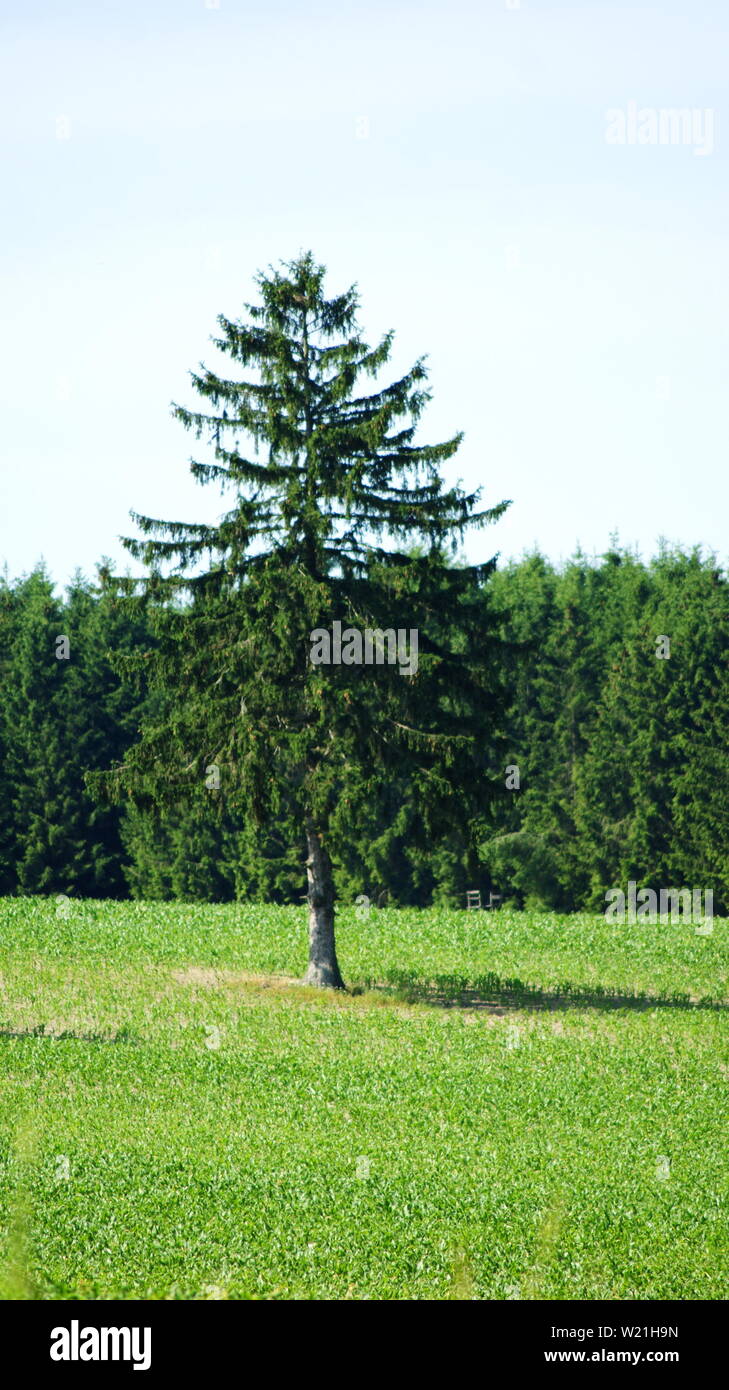 Strong field hi-res stock photography and images - Alamy