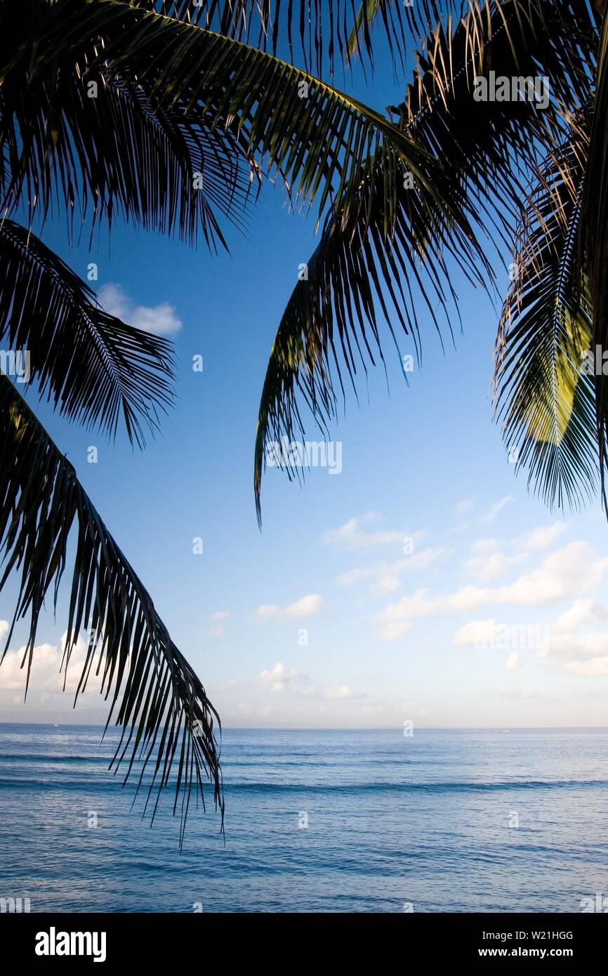 Calm tropical hi-res stock photography and images - Alamy