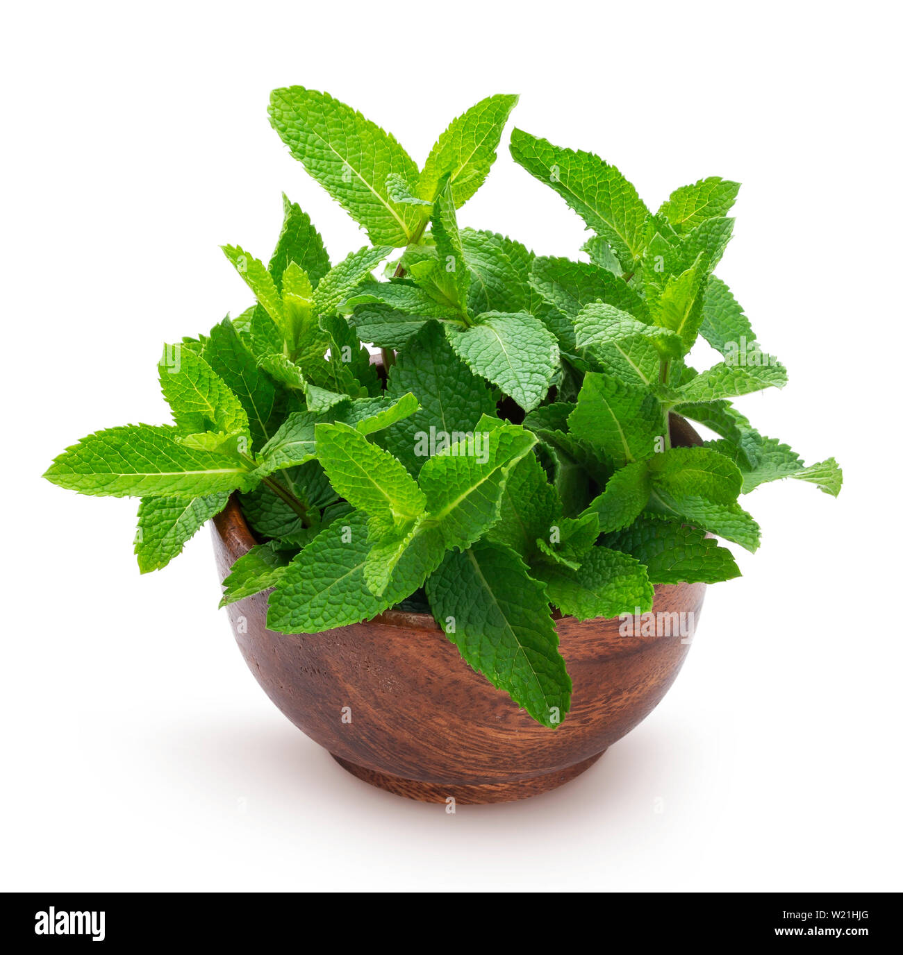 Close up fresh green mint hi-res stock photography and images - Alamy