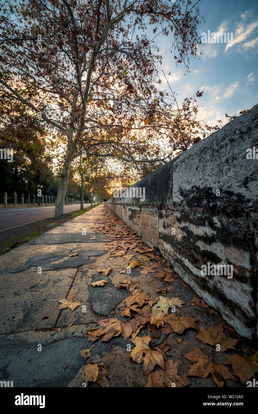 Irix 15mm hi-res stock photography and images - Alamy