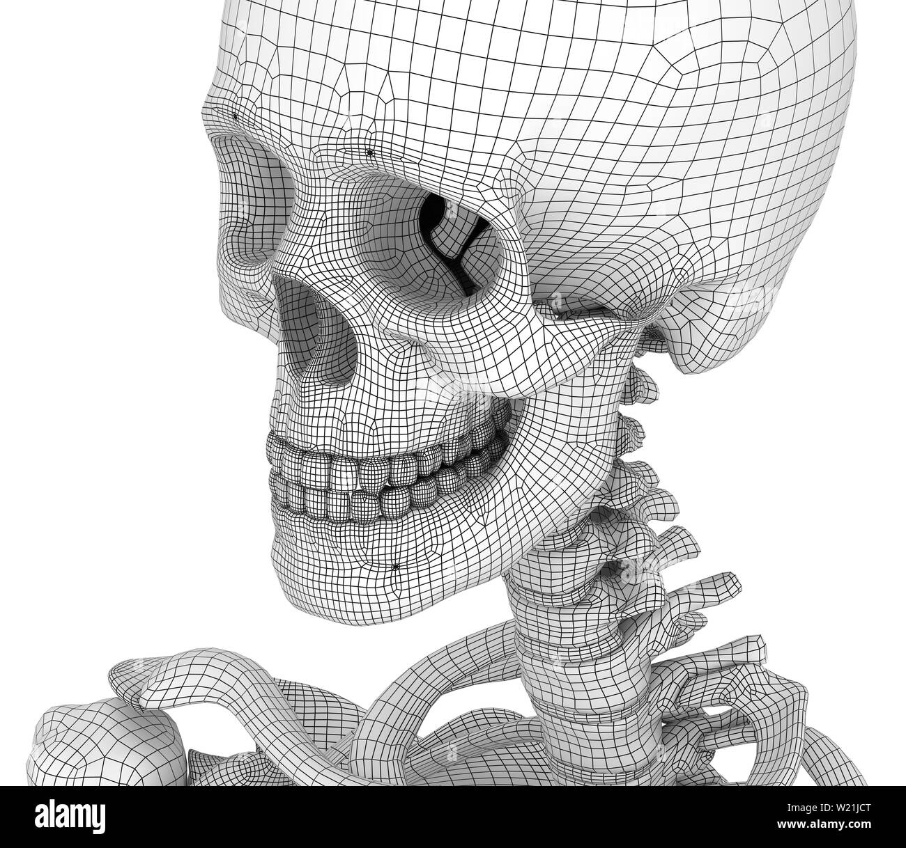 Human skull skeleton, isolated. Medically accurate 3d illustration ...